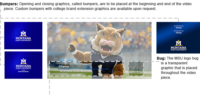 MSU Brand Guide - MSU Brand Guide | Montana State University