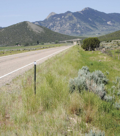 2017_July - MSU Extension Invasive Plants | Montana State University